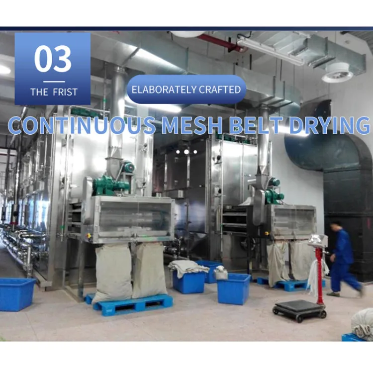 100-1000kgh Fruit and Vegetable Grape Food Dryer Pepper Spice Grain ...